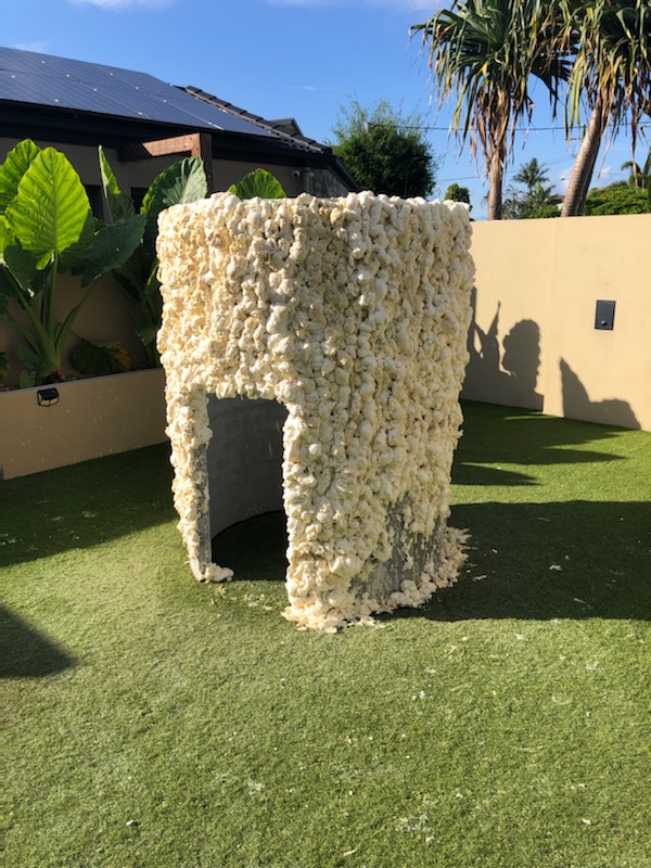 To Tree or not to Tree… – My Rebel Hart